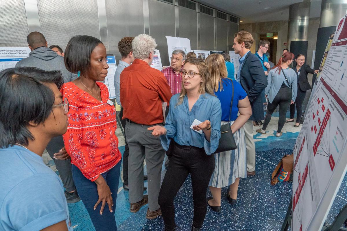 9 of DU’s Coolest Undergrad Research Projects